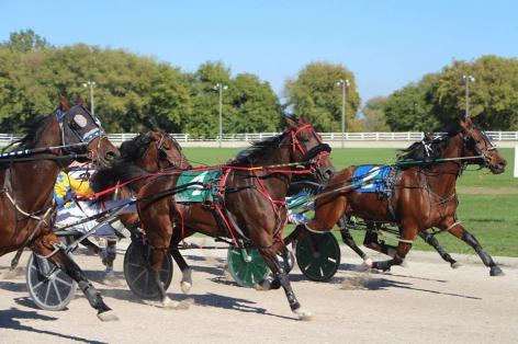 Standardbred Canada Releases Return To Racing Blueprint | Leamington ...