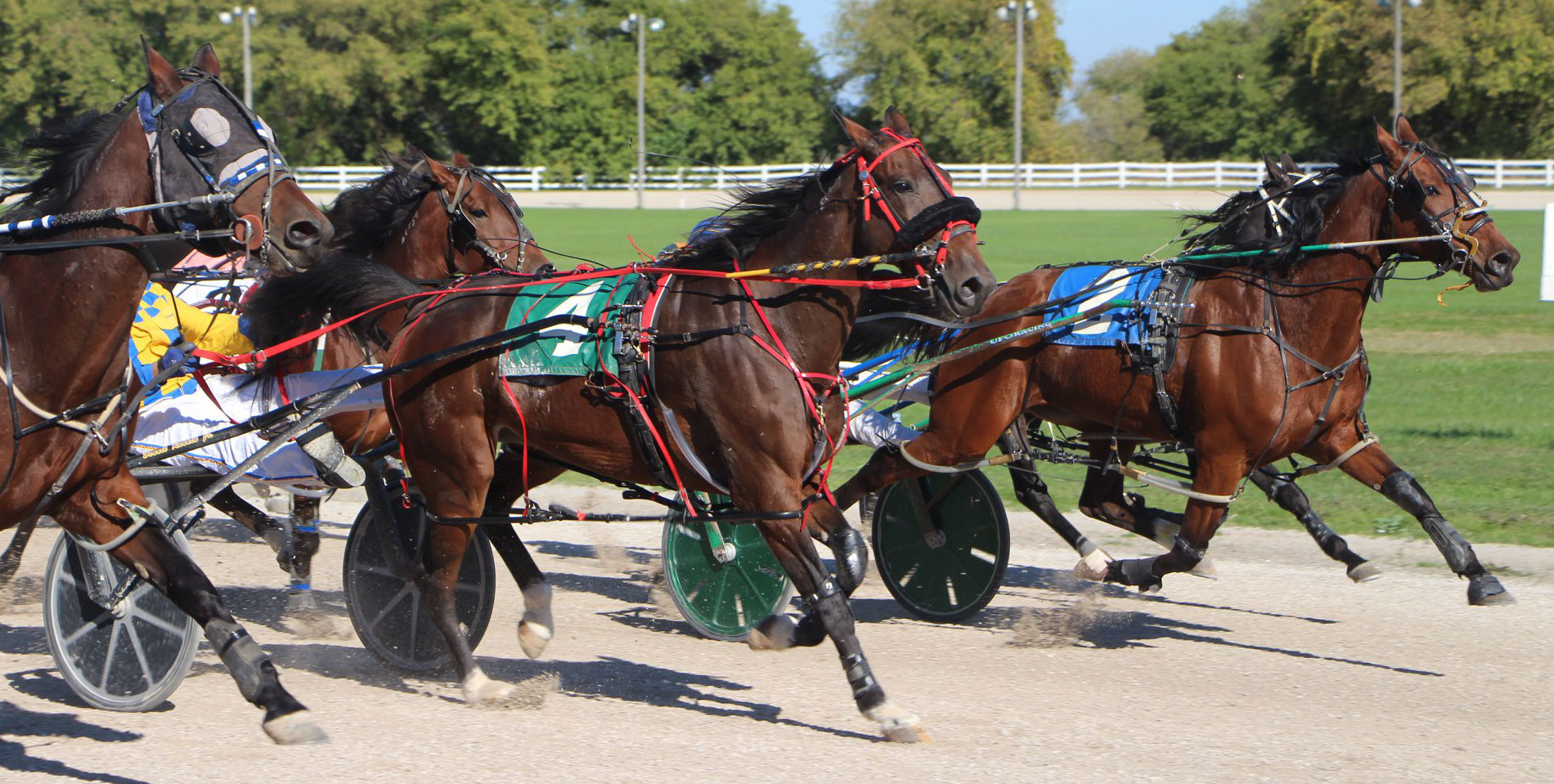 Leamington Raceway